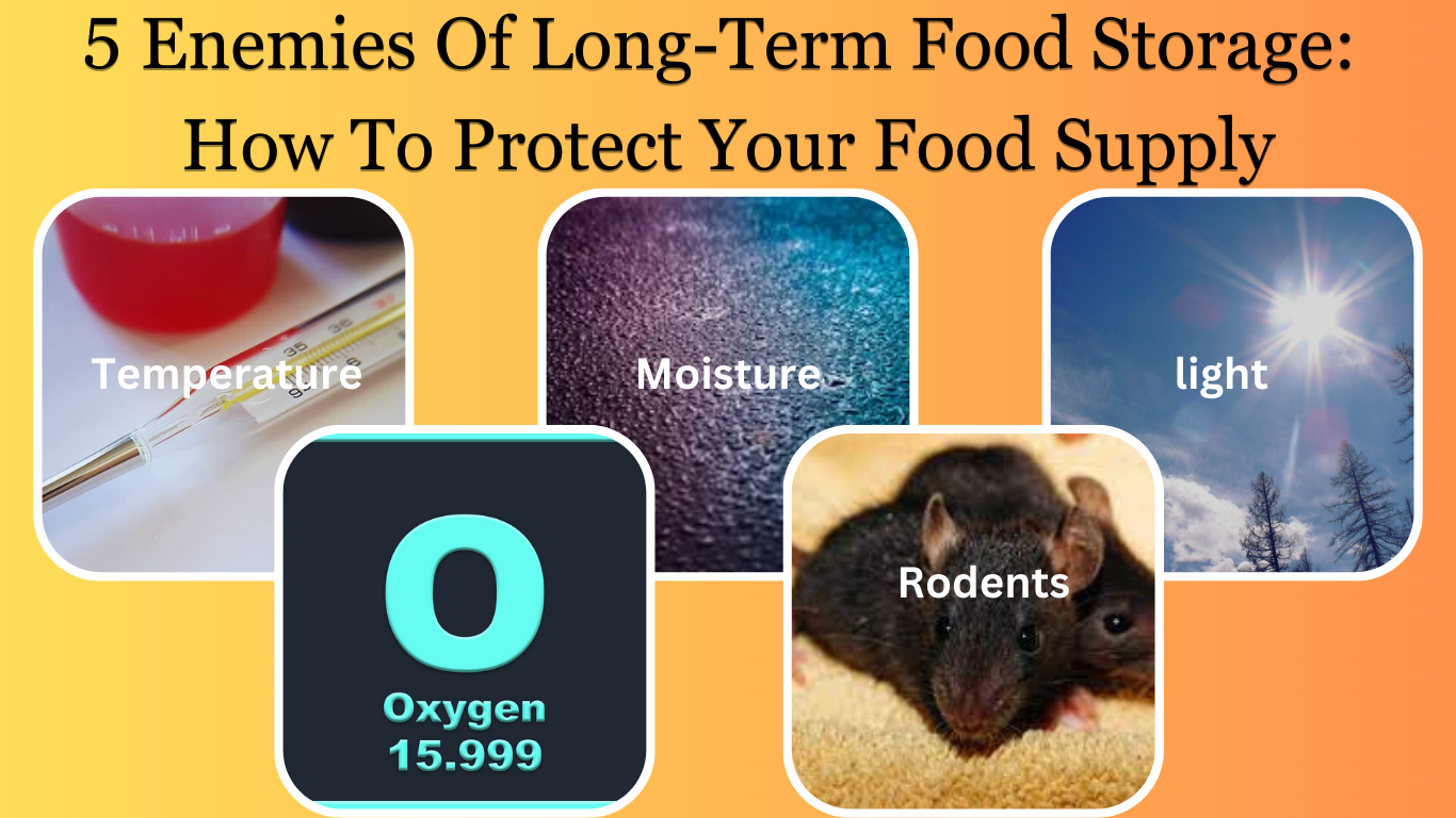 5 Enemies Of Long-Term Food Storage: How To Protect Your Food Supply ...