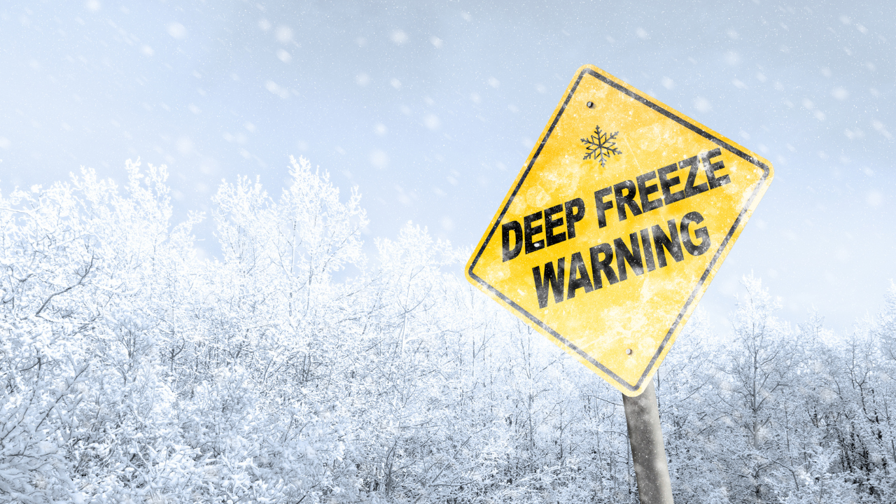 Understanding Freeze Warnings and Hard Freeze Warnings – Safecastle