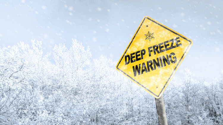 Understanding Freeze Warnings and Hard Freeze Warnings – Safecastle